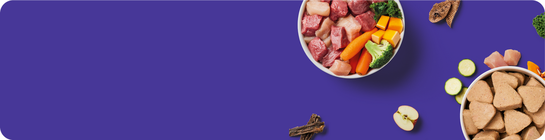 Raw Dog Food | Raw Meat Diet For Dogs | Nutriment
