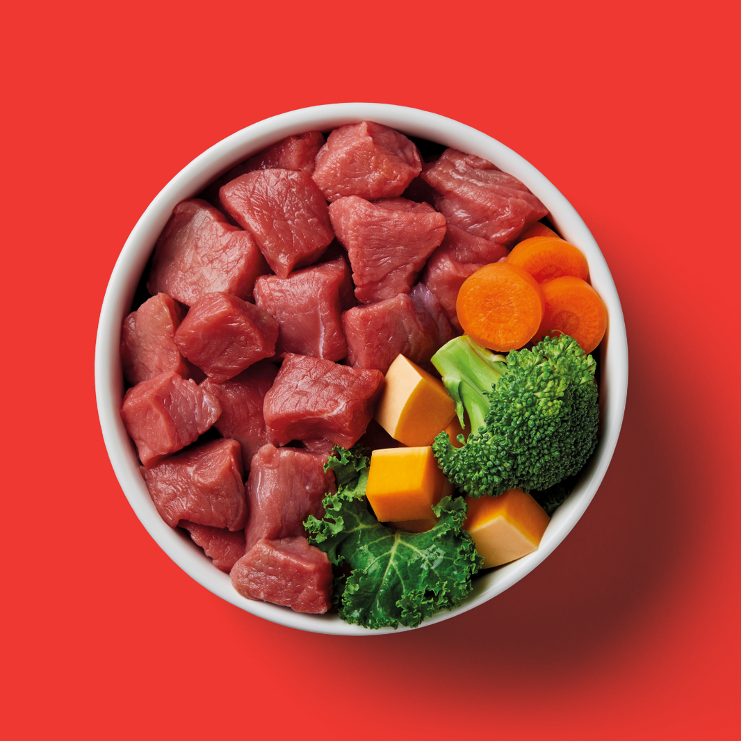 What is BARF Dog Food? | Benefits & More | Nutriment