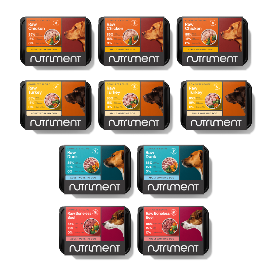 5kg Starter Pack - Raw Dog Food | Nutriment Raw