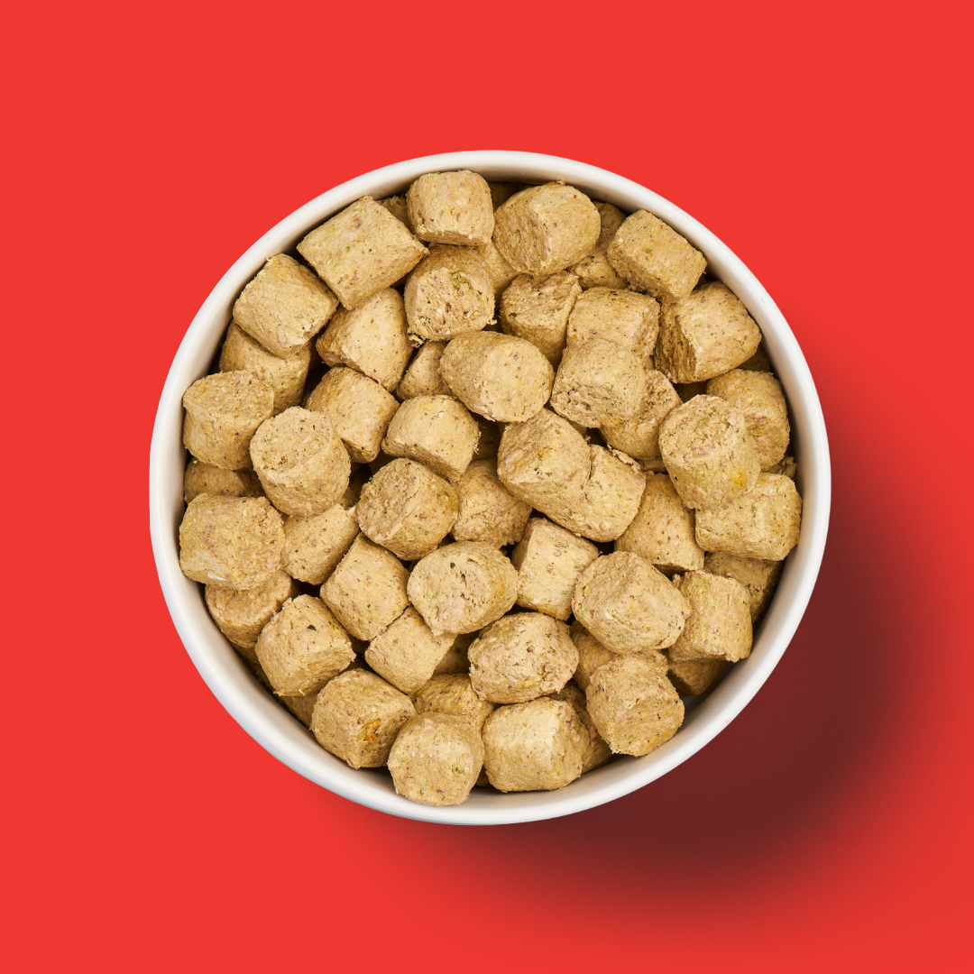 Freeze Dried Food - Beef 225g – Nutriment